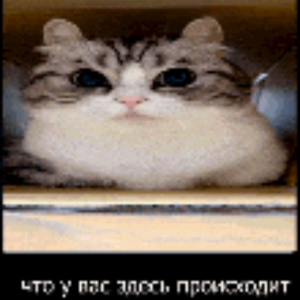 Иконка канала Тимоха56k