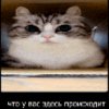 Иконка канала Тимоха56k