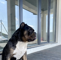 Иконка канала One Love Bully