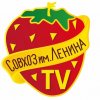 Иконка канала Совхоз-ТВ