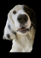 Иконка канала Я РУССКИЙ