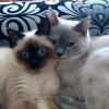 Иконка канала Уют и порядок