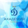 Иконка канала Академия Динамо 2013 Барнаул