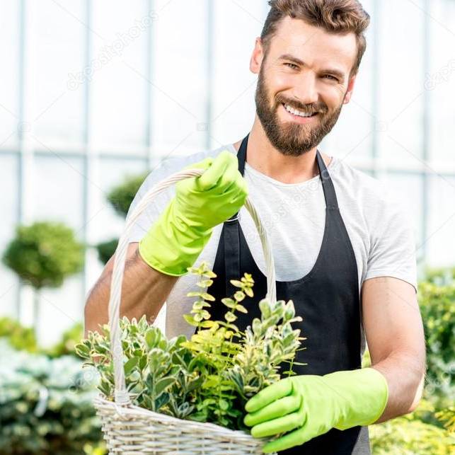 Иконка канала Сад.Огород.Совет