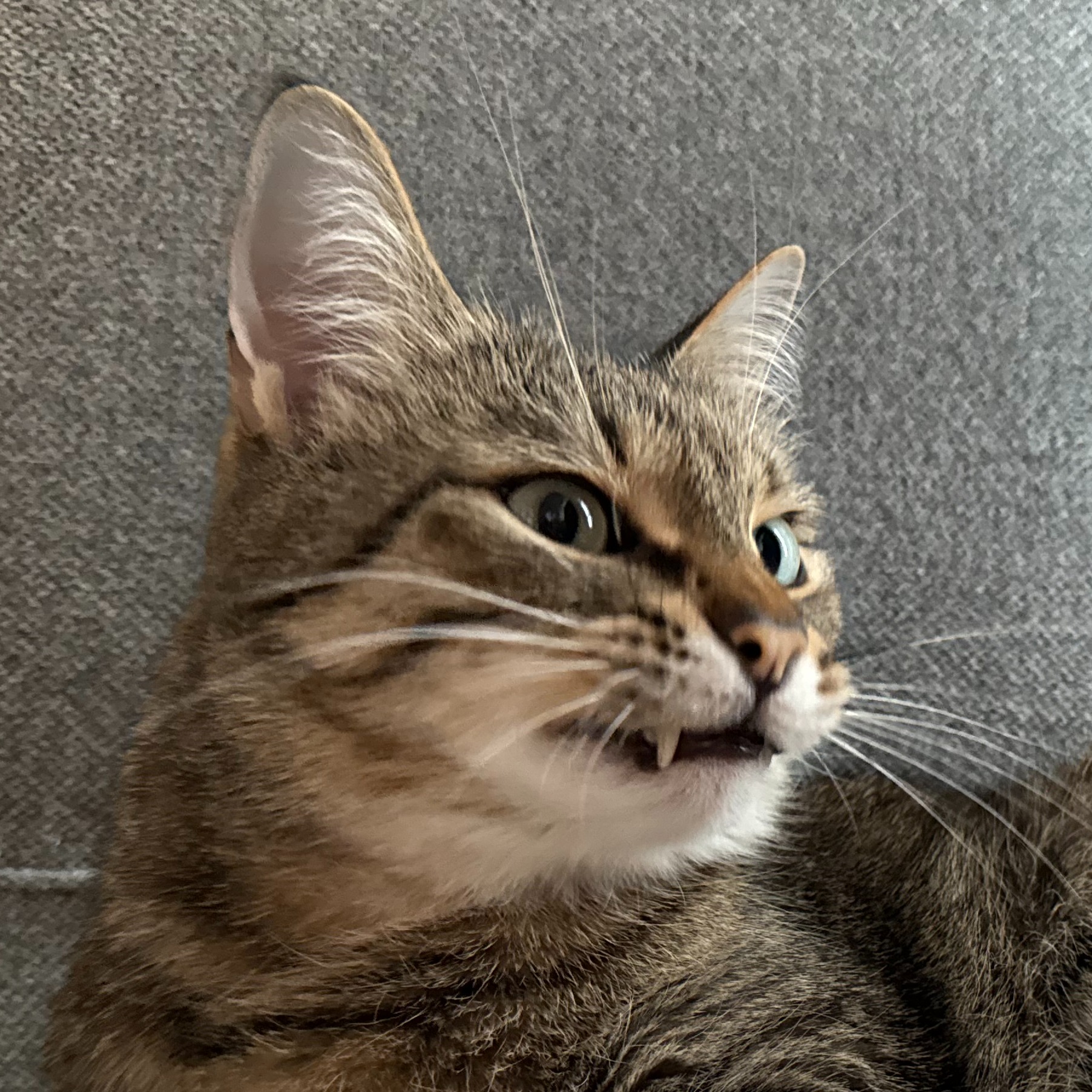 Иконка канала AlexTsymb