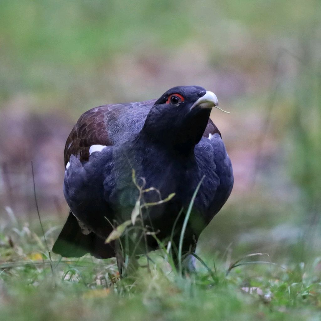 Иконка канала @#₽_&1981