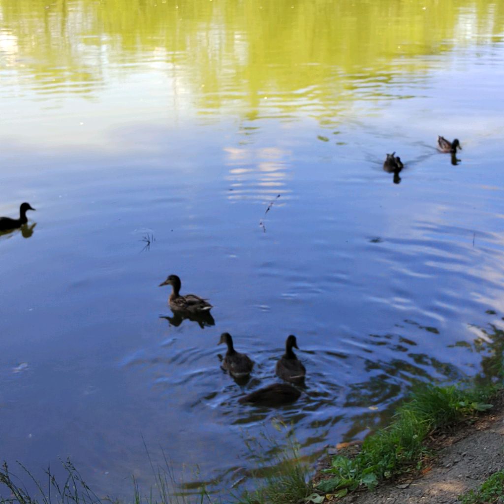 Иконка канала Путешествуйте с нами