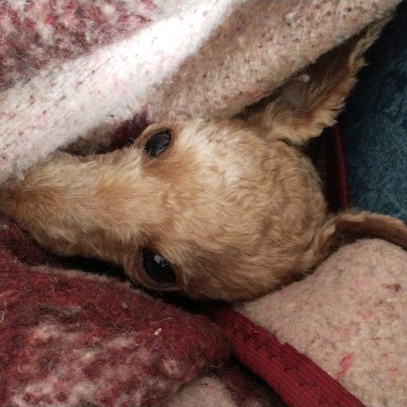 Иконка канала Мария Иванова