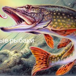 Иконка канала Лютые рыбаки 47