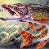 Иконка канала Лютые рыбаки 47