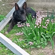 Иконка канала Мастерская "Мечта"