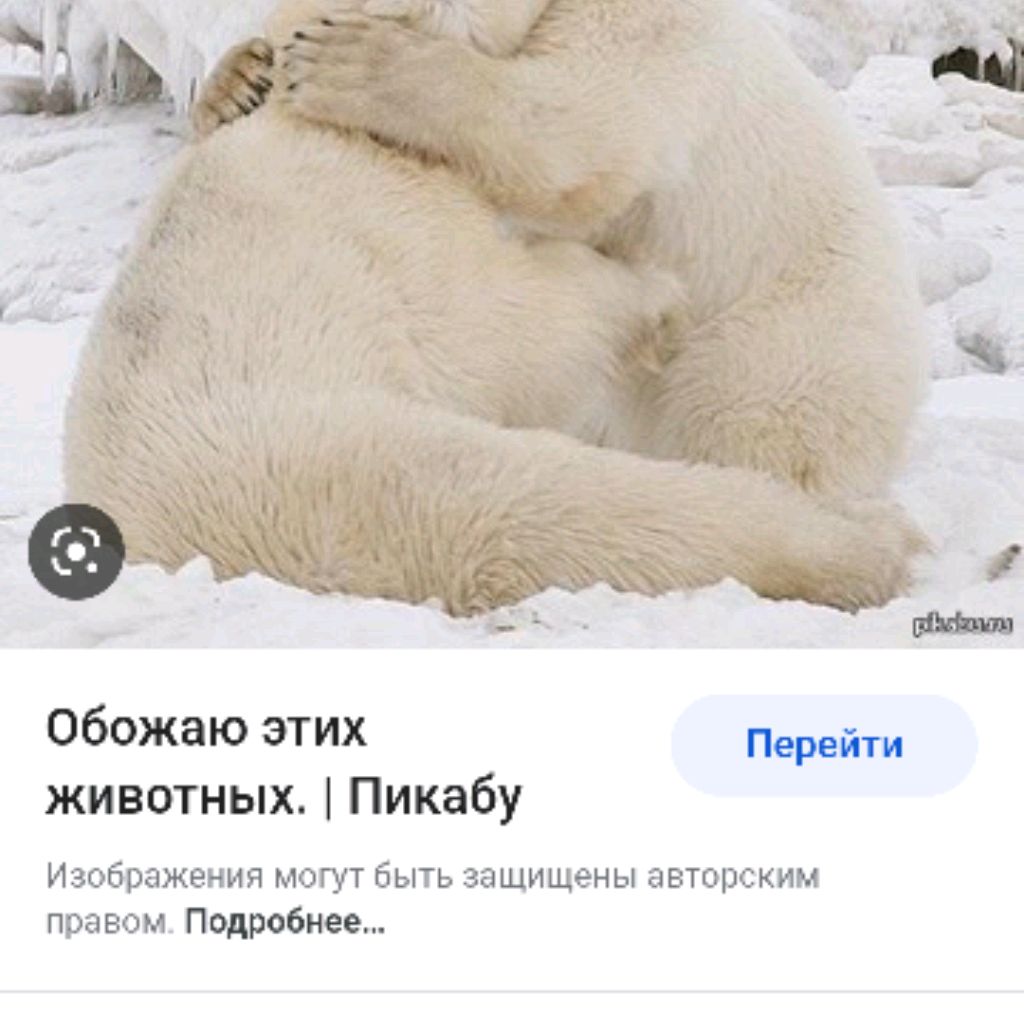 Иконка канала Pink Bear