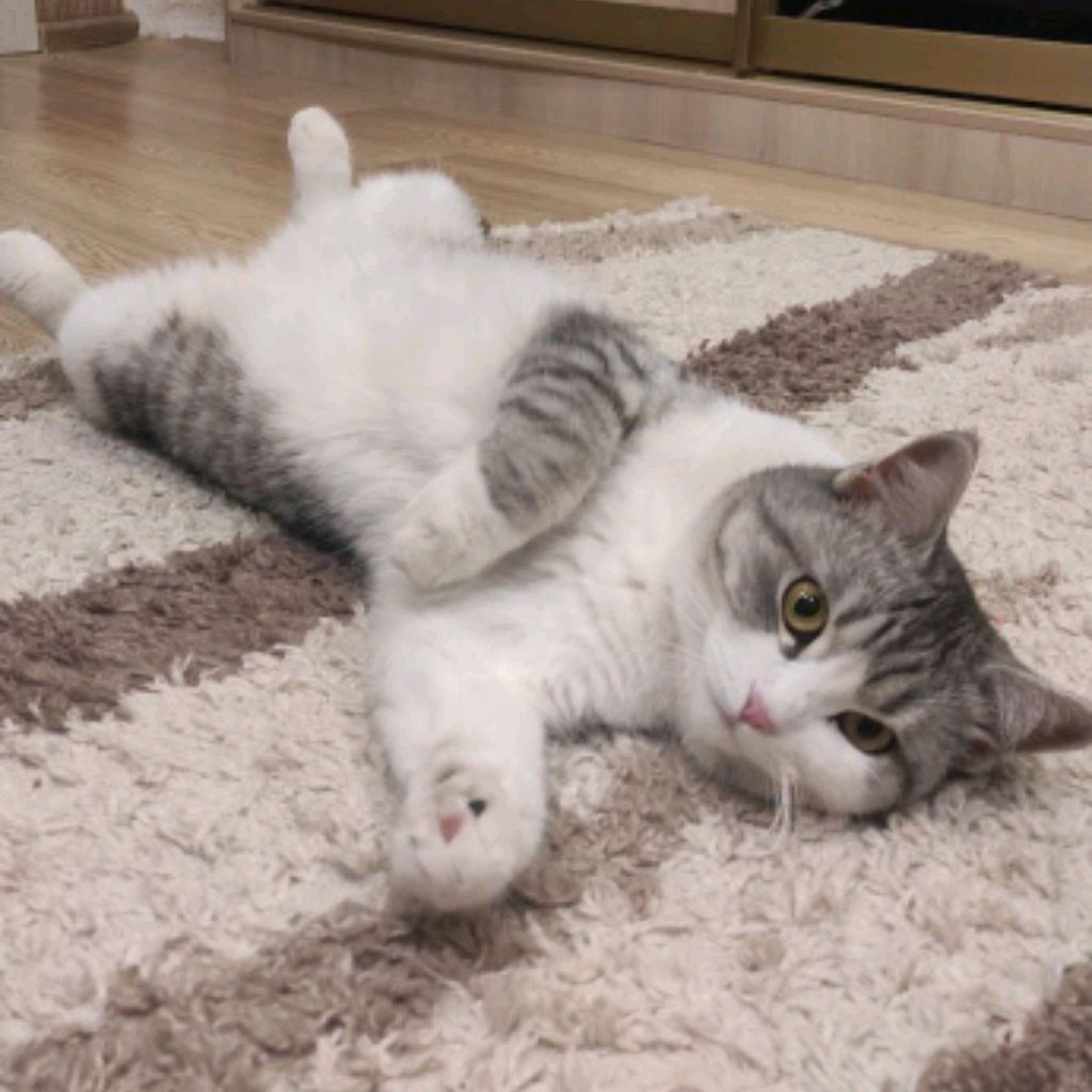 Иконка канала Радирадости