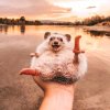 Иконка канала Приколы.ру