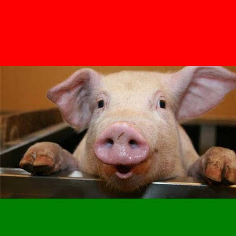 Иконка канала SPIEgeLWELT