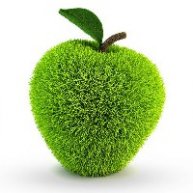 Иконка канала Свежие Клипы