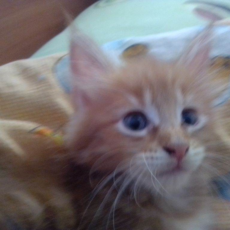 Иконка канала channel42573082