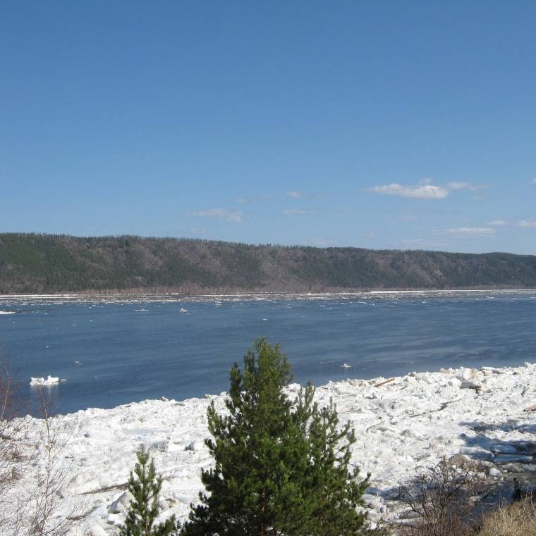 Иконка канала МСШ