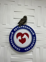 Иконка канала Veterinaryhospital34