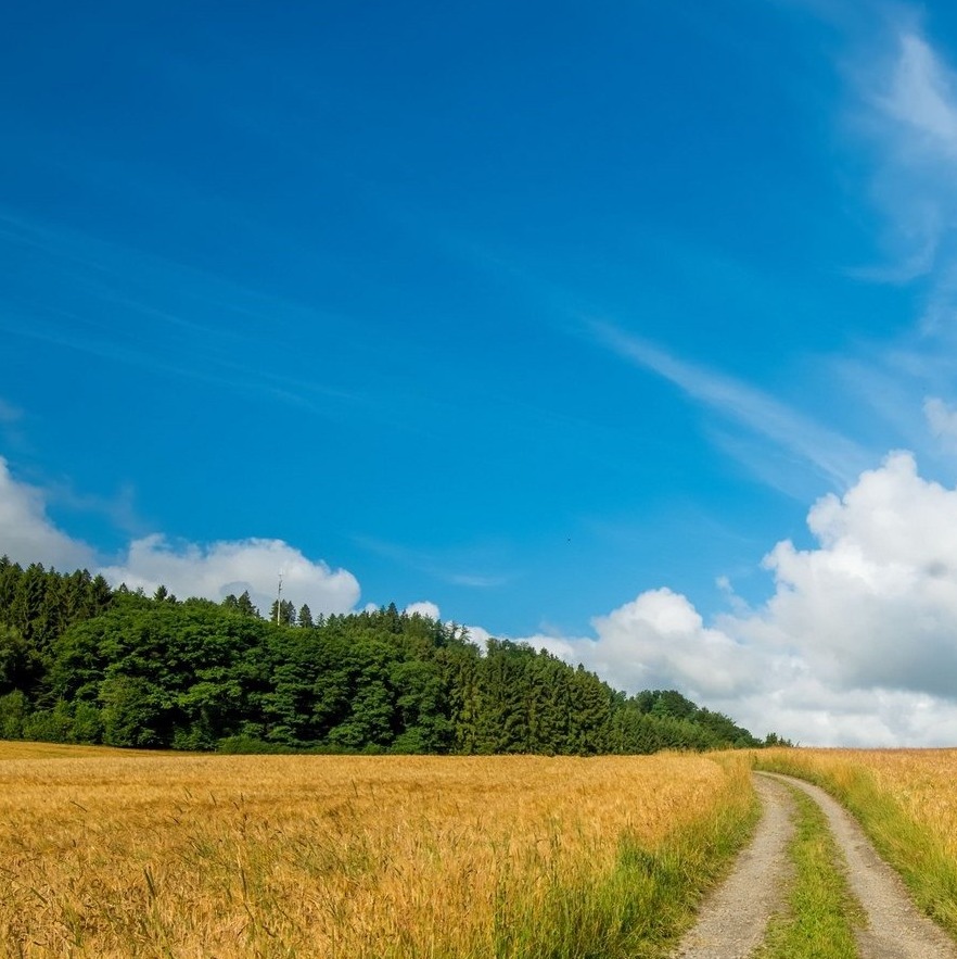 Иконка канала MaDam1827