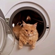 Иконка канала Мои любимые животные