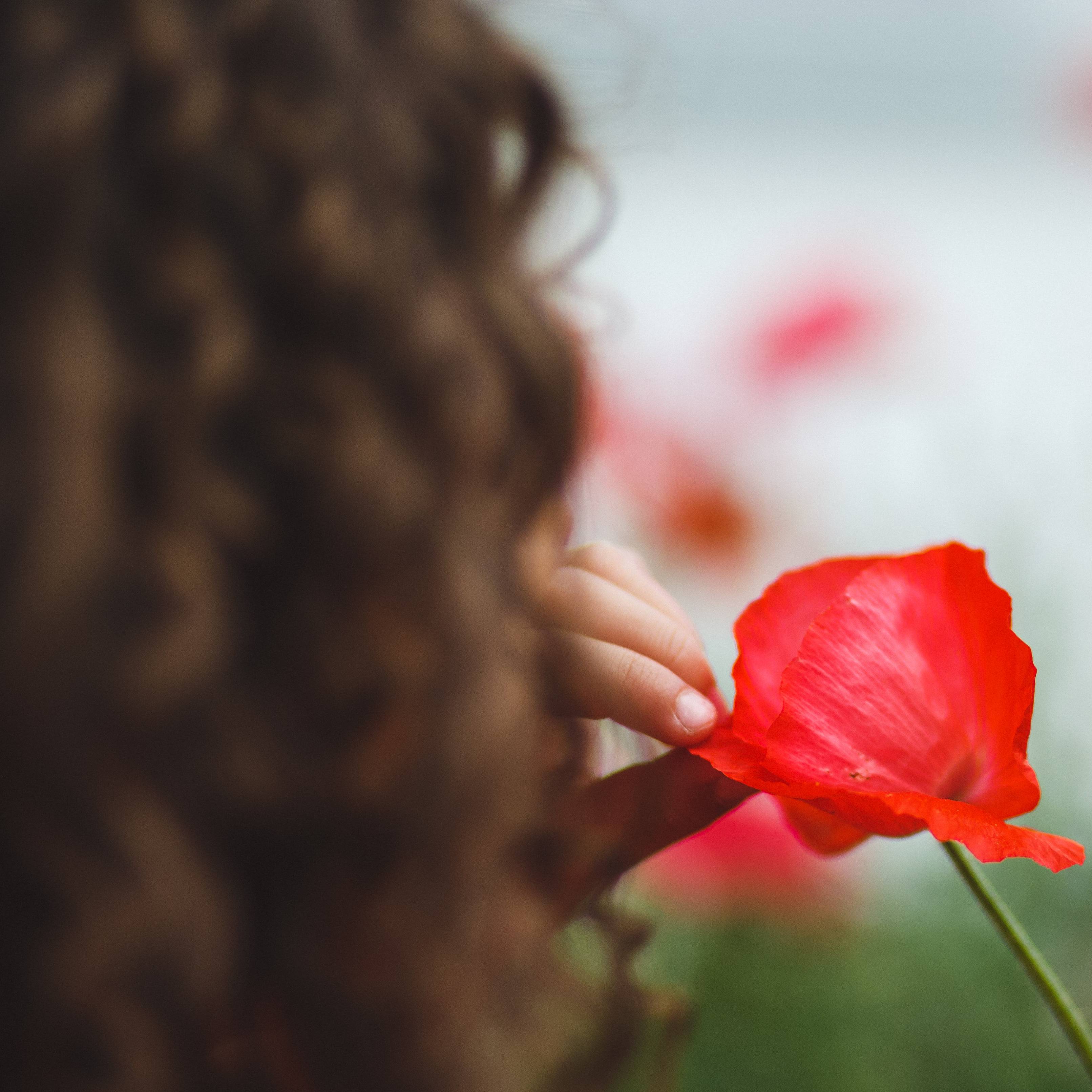 Иконка канала Смотри с Виолеттой