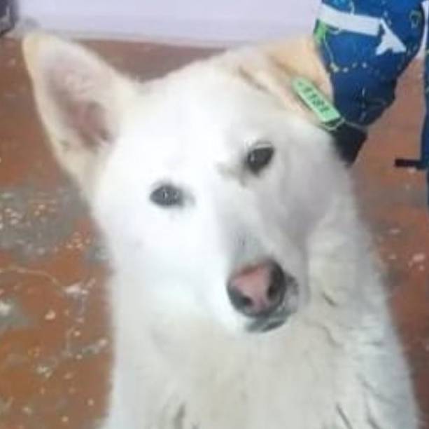 Иконка канала ЯНайда