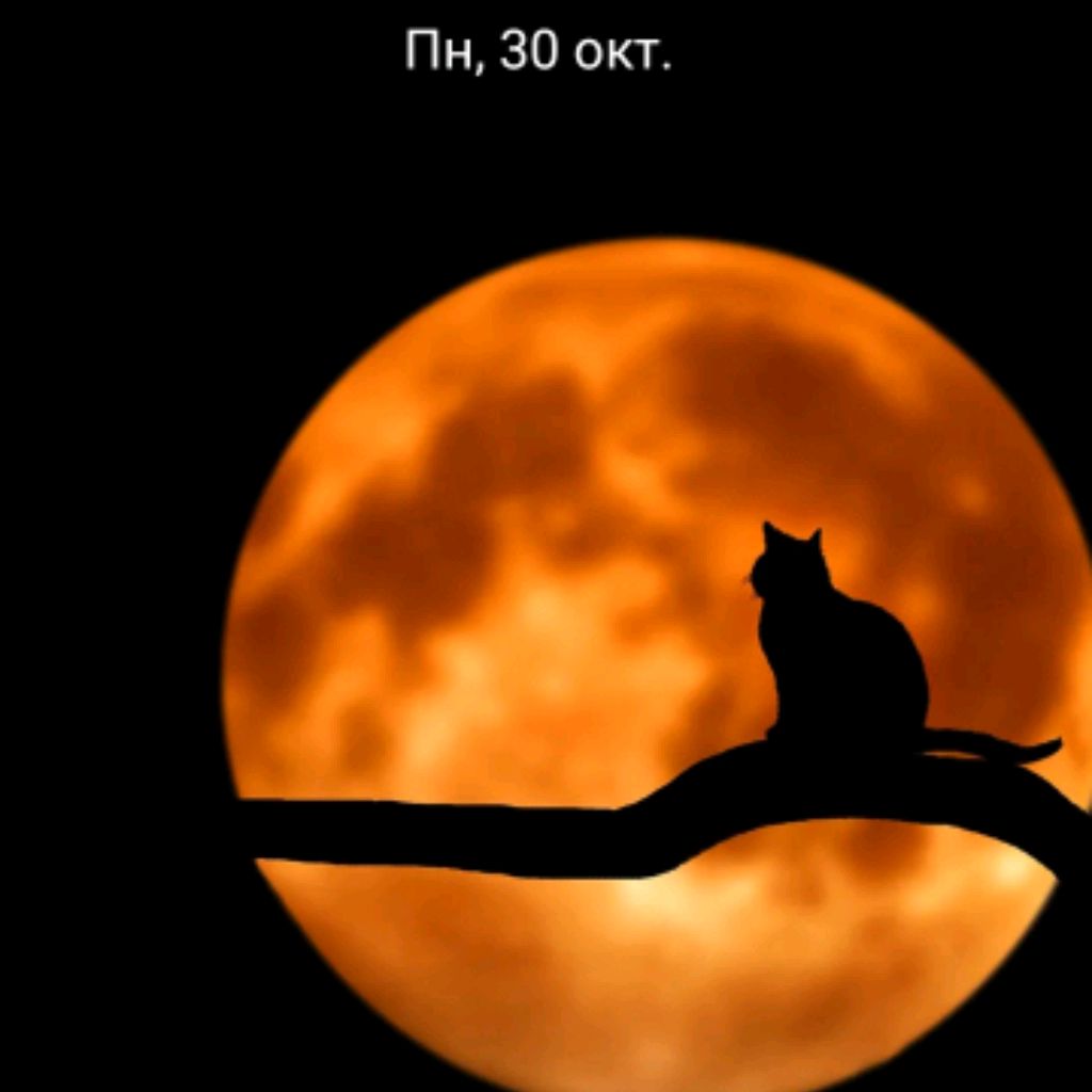 Иконка канала Rafaelll