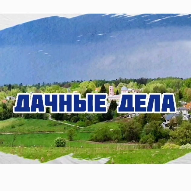 Иконка канала Дачные дела