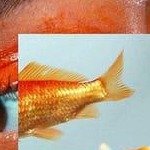 Иконка канала Кейт