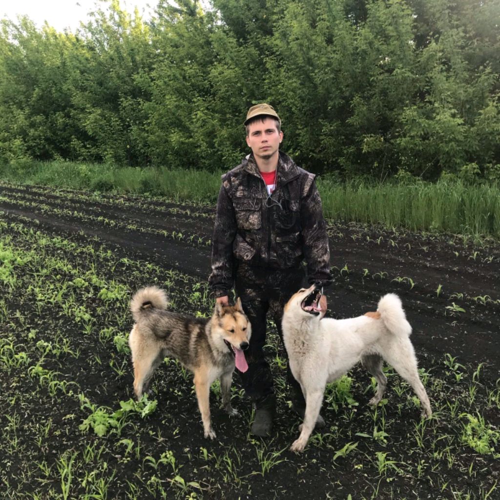 Иконка канала Охота с лайкой VRN