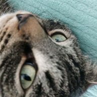 Иконка канала АкоТ