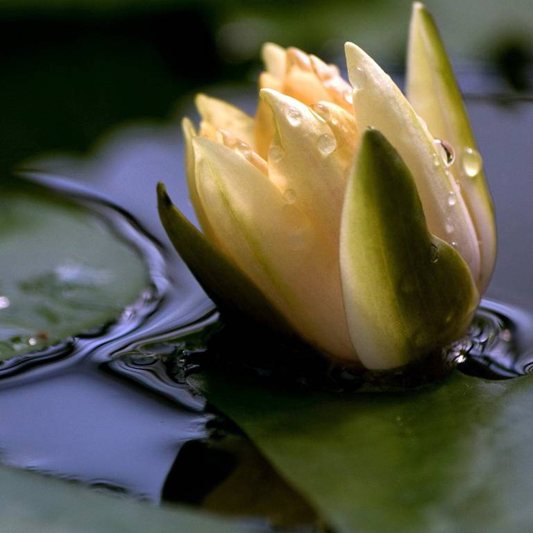 Иконка канала PRUDDECOR