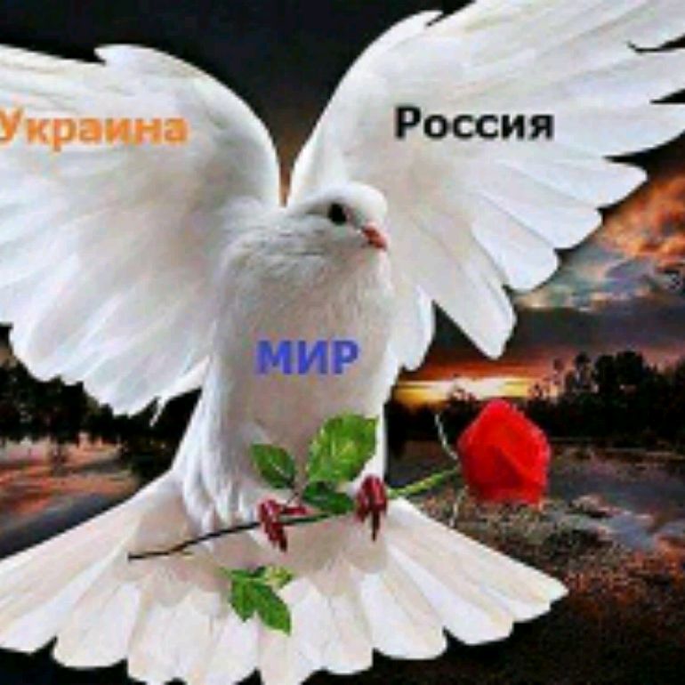 Иконка канала Владимир Zlagoda-ICC