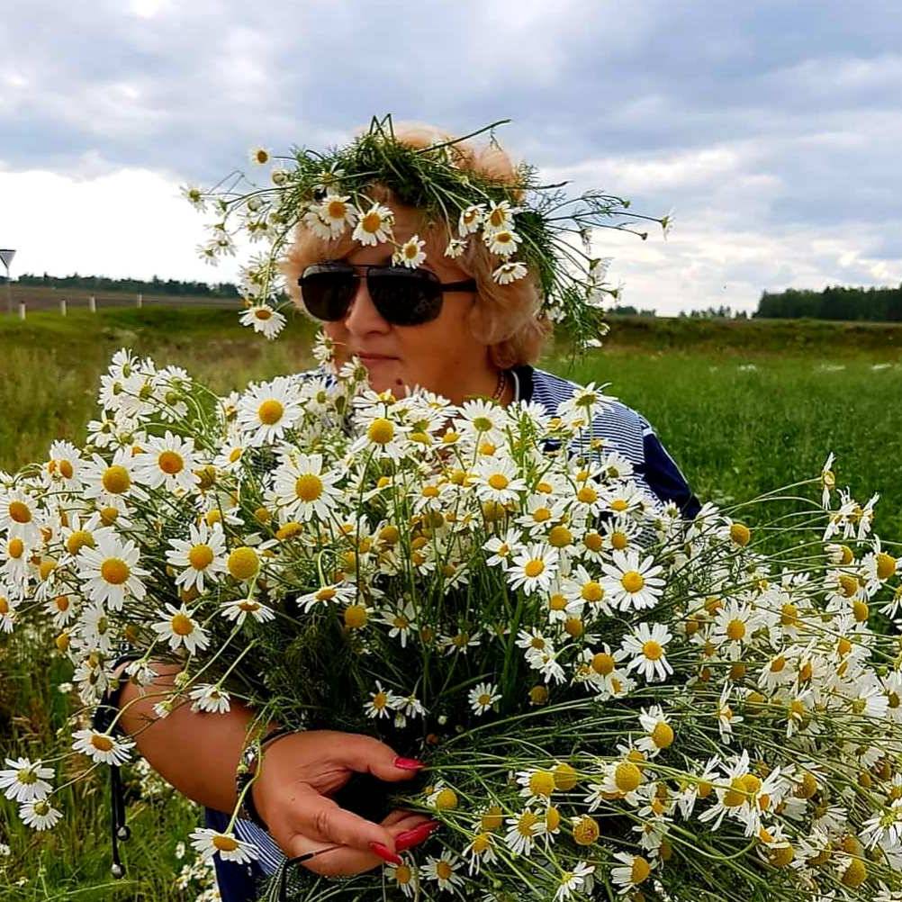 Иконка канала Александрия учебный центр. Озон, огород в Сибири.