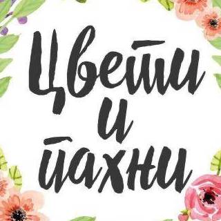 Иконка канала rutube_account_23621260