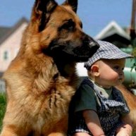 Иконка канала БИС ИРОО БСВБД