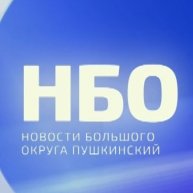 Иконка канала Пушкинский: Новости большого округа