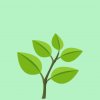 Иконка канала Eco_company