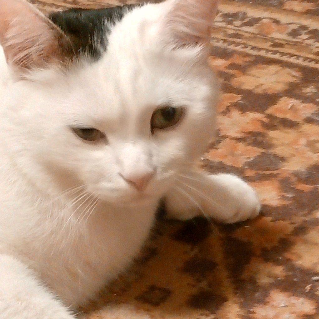 Иконка канала Всякая всячина