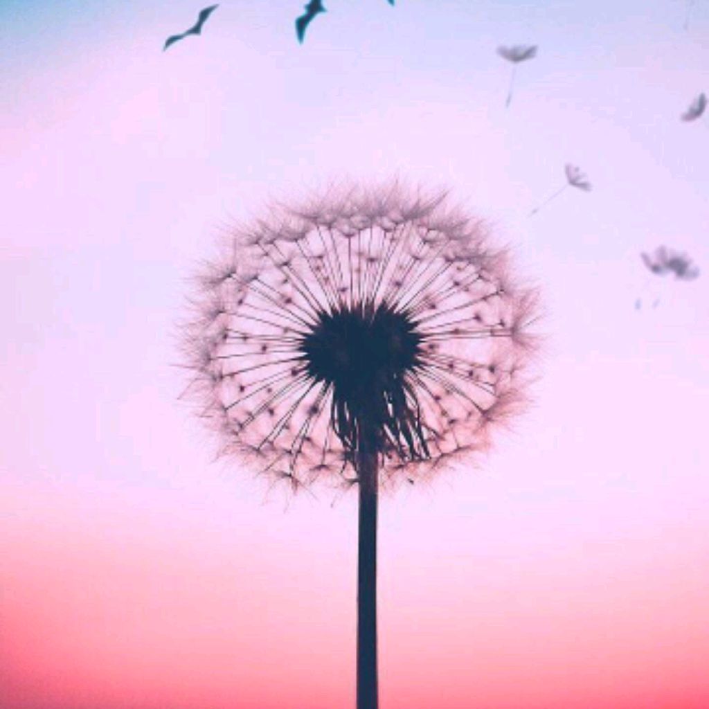 Иконка канала Аиша DlY