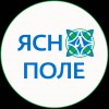 Иконка канала ЯСНаПоле. Духовный рост