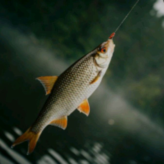 Иконка канала Рыбак 64