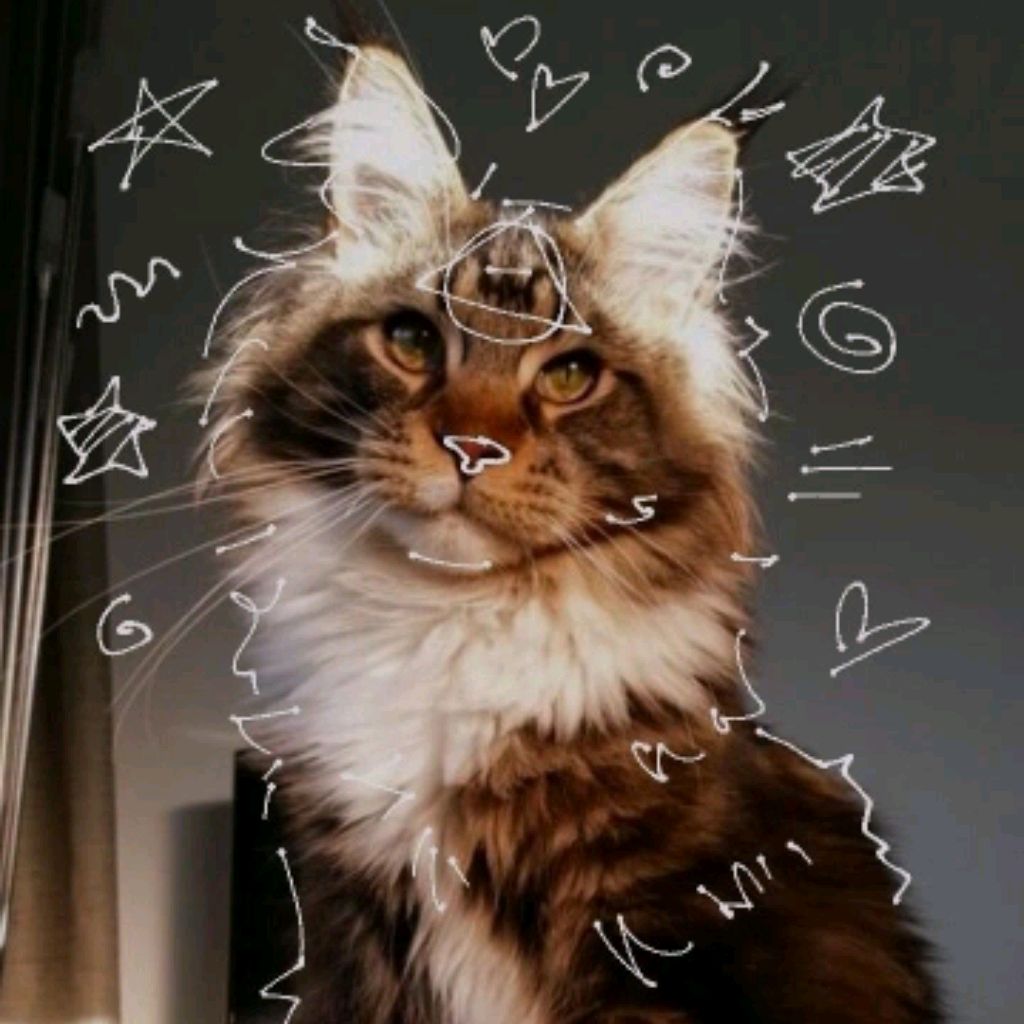 Иконка канала ириска [Яна]🐸🍃🌿🧋😺🌱🍀