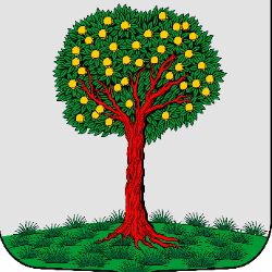 Иконка канала МАМО г. ЛОМОНОСОВ