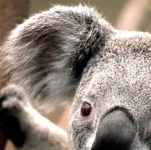 Иконка канала rutube_account_6036595