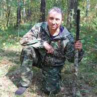 Иконка канала channel30266549 Лесная лунь.