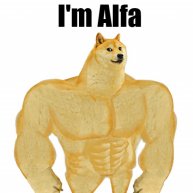 Иконка канала ALFADOG