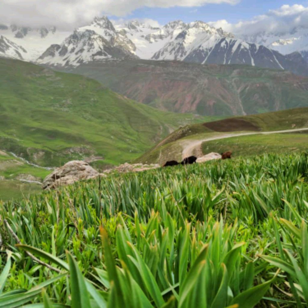 Иконка канала ilhomidin 8788