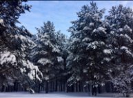 Иконка канала Адекватный челночёк